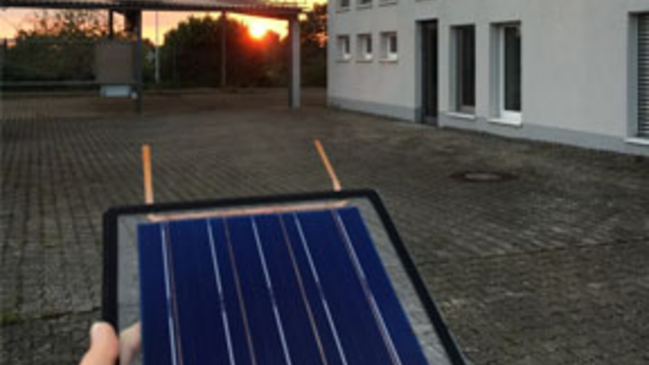 ZIM International NICE-wire